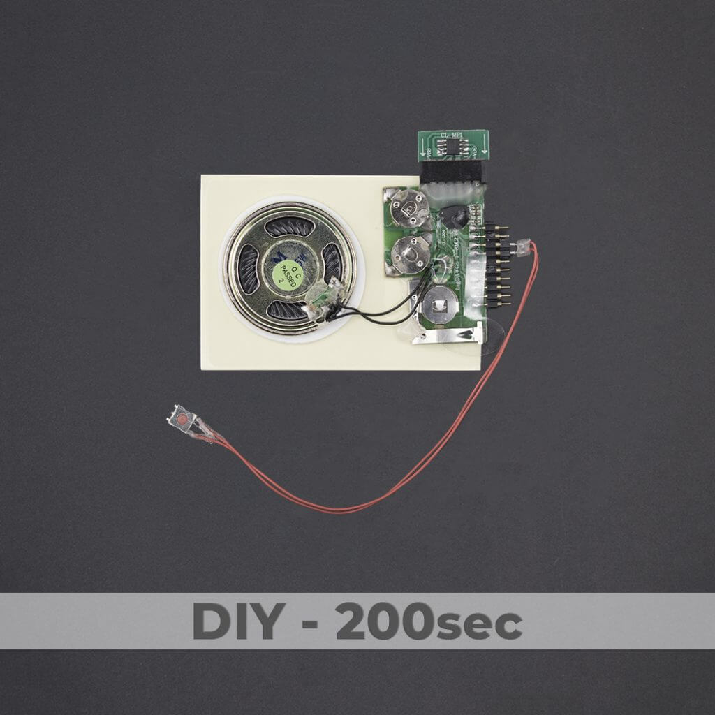 DIY Kit - Push Button Sound Module - 200 Sec - bigDAWGS greetings