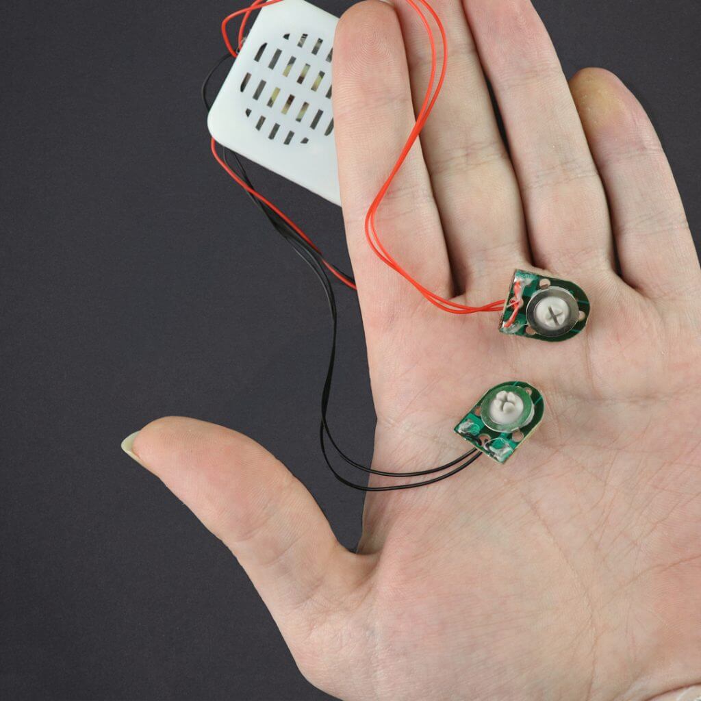 Push Button Stuffed Animal Sound Box - 10 Sec - bigDAWGS greetings