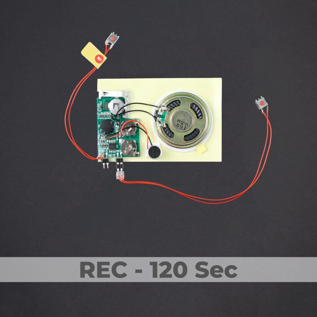 Push Button Sound Module - Rec 120 Sec - bigDAWGS greetings