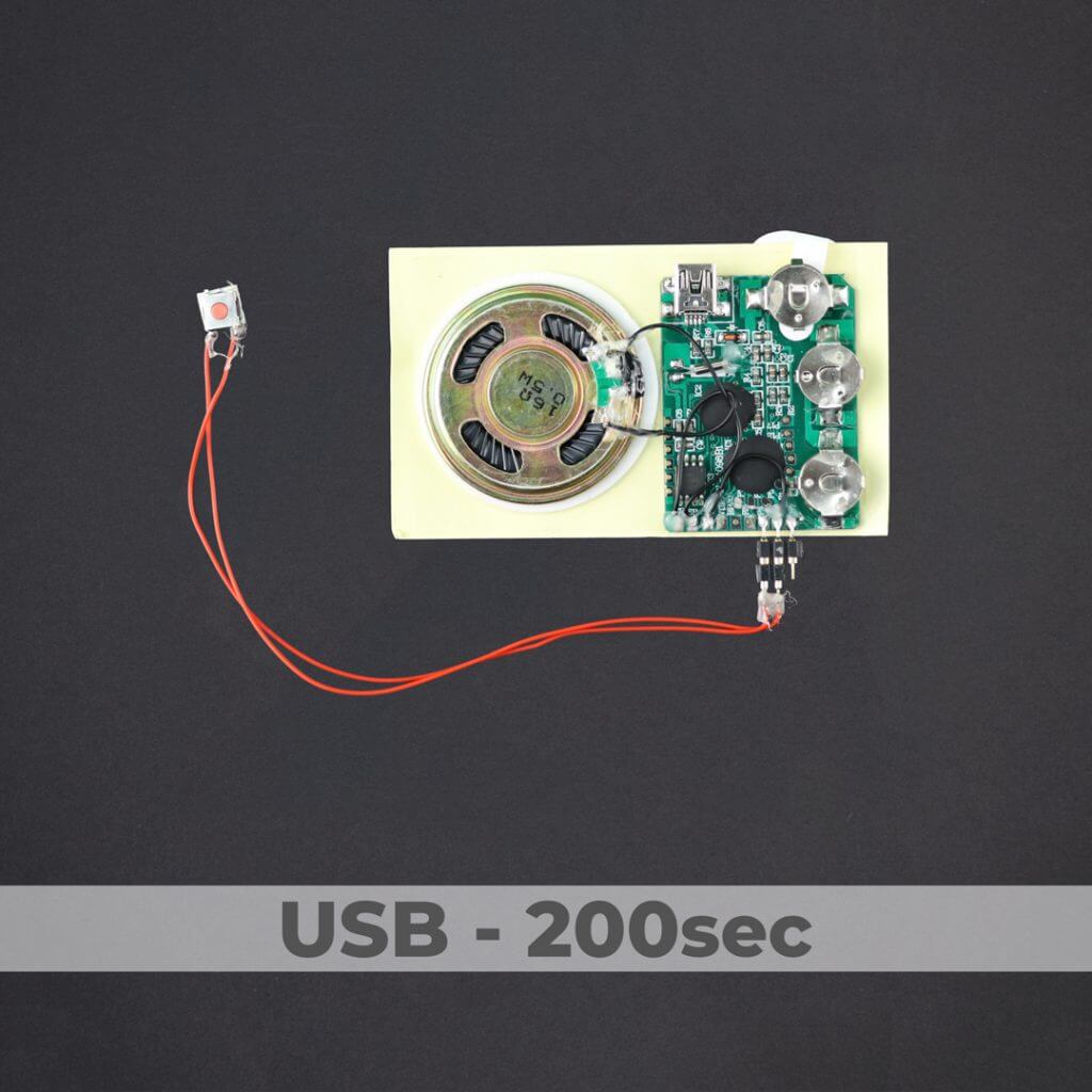 USB Programmed - Push Button Sound Module - 200 Sec - bigDAWGS greetings