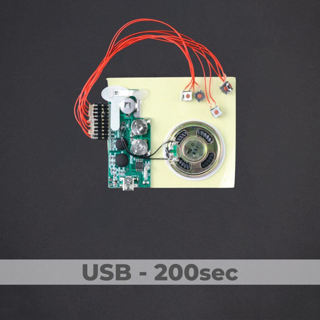USB Programmed - 5 Button Sound Module - 200 Sec - bigDAWGS greetings