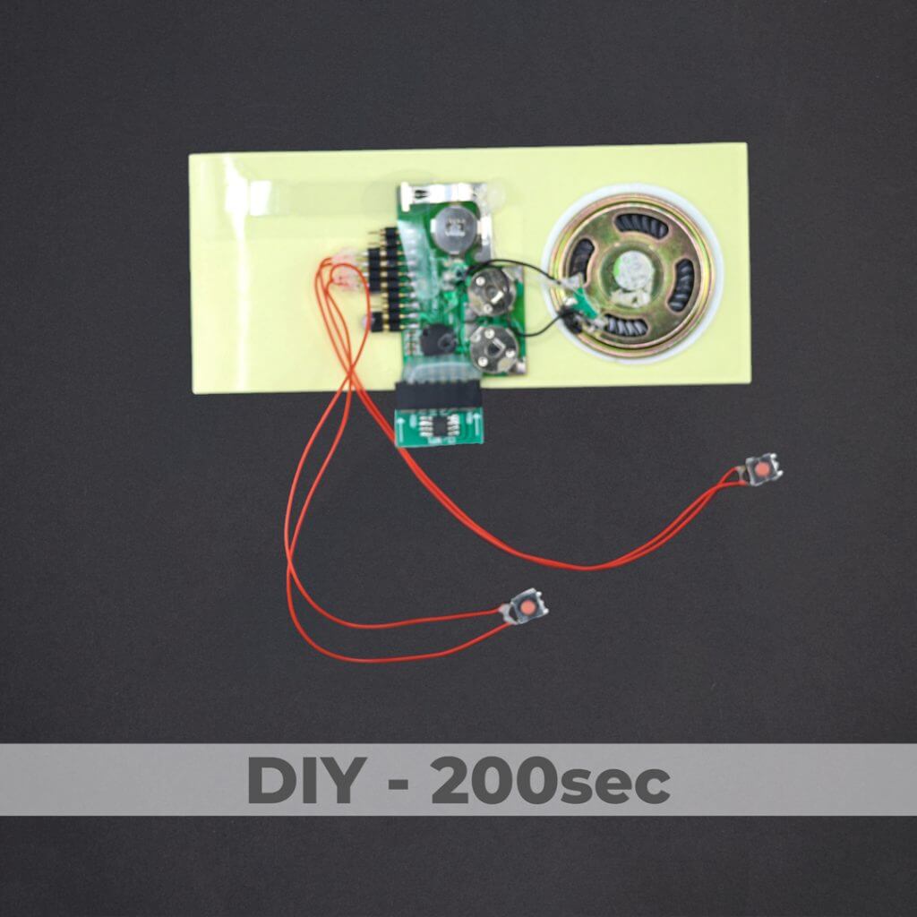 DIY Kit - Greeting Card Sound Module + 2 Buttons - 200 Sec - bigDAWGS ...