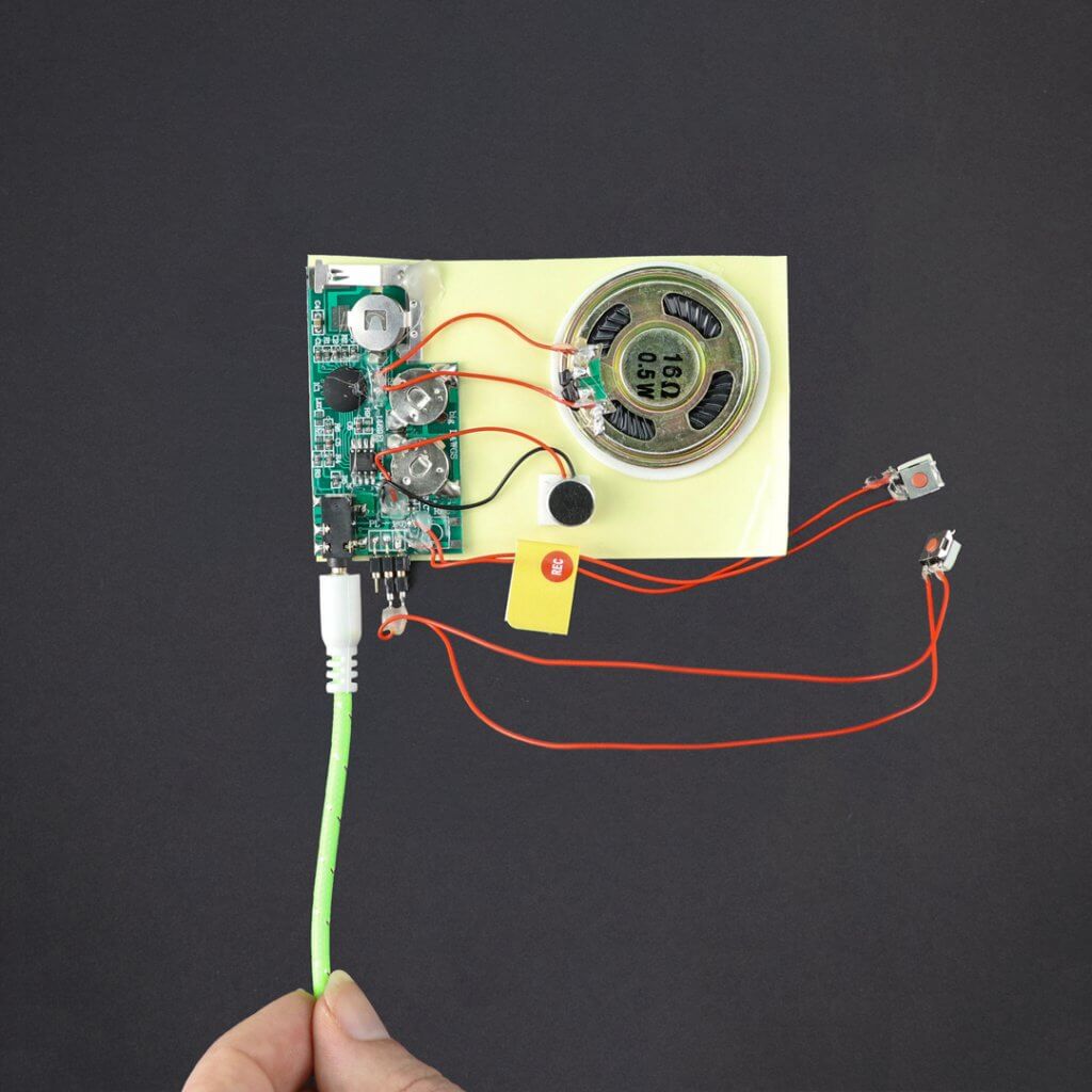 Line-in Port - Push Button Sound Module - Rec 120 Sec - bigDAWGS greetings