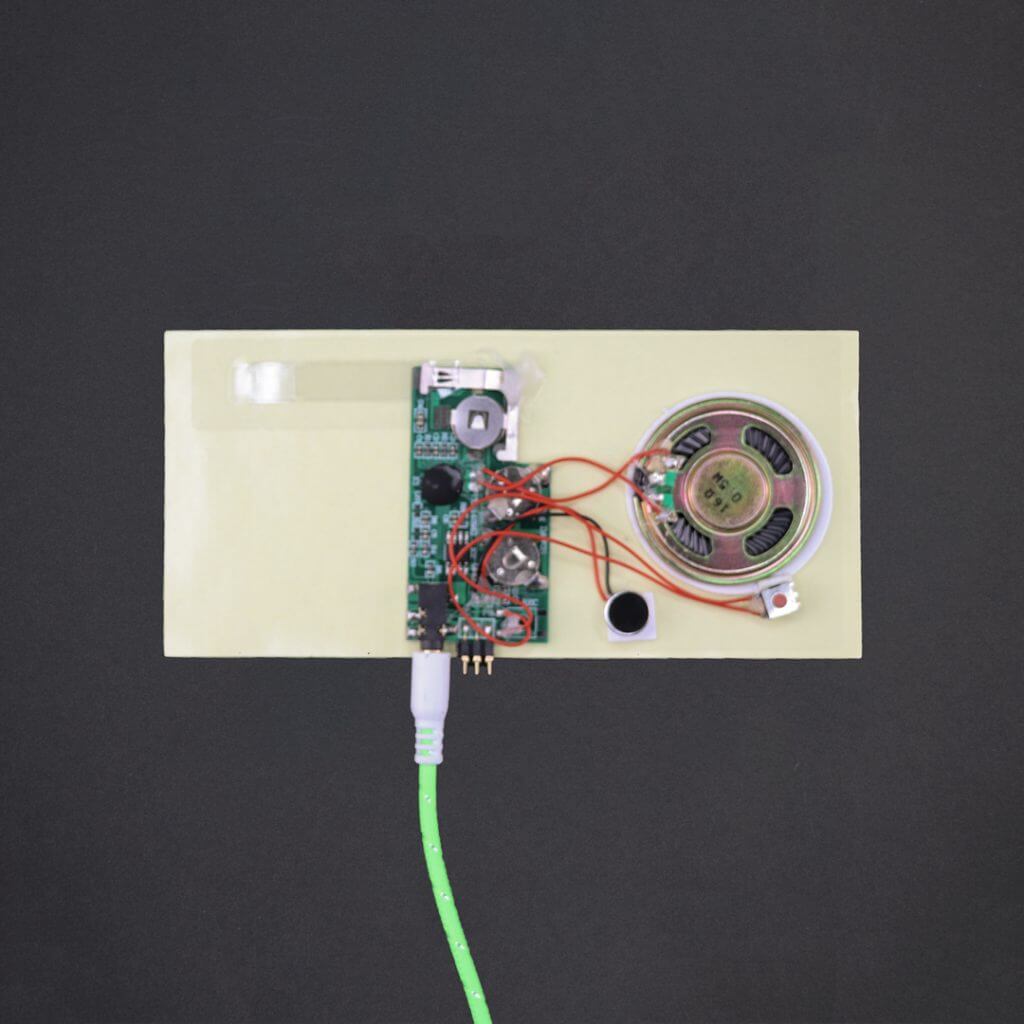 Line-in Port - Greeting Card Sound Module - Rec 120 Sec - bigDAWGS ...