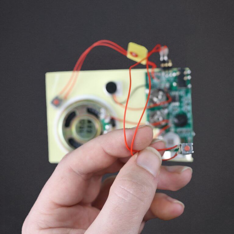 Line-in Port - Push Button Sound Module - Rec 120 Sec - bigDAWGS greetings