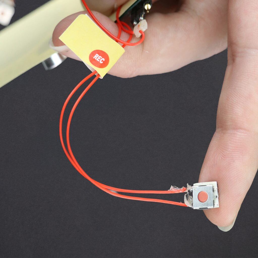 Push Button Sound Module - Rec 120 Sec - bigDAWGS greetings