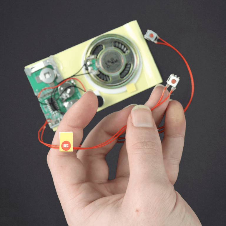 Push Button Sound Module - Rec 10 Sec - bigDAWGS greetings