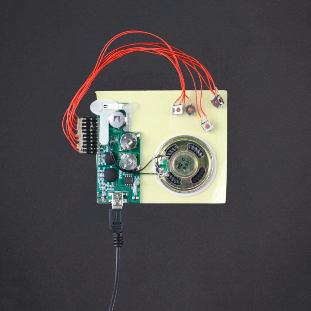 USB Programmed - 5 Button Sound Module - 200 Sec - bigDAWGS greetings