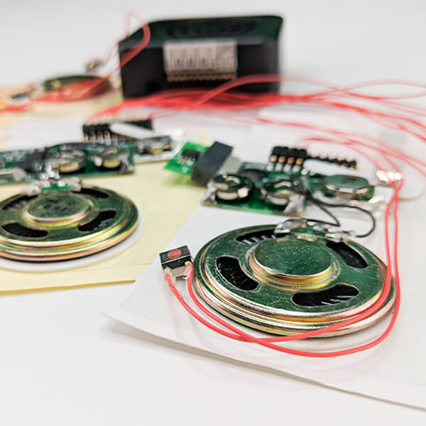 Push Button Stuffed Animal Sound Box - 10 Sec - bigDAWGS greetings